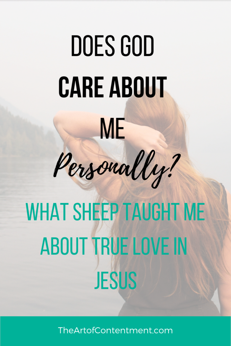 Does God care about me personally? What sheep taught me about true love ...